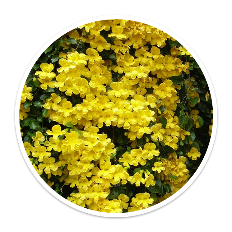 Eternum Prostate Health - Eternum Prostate Health