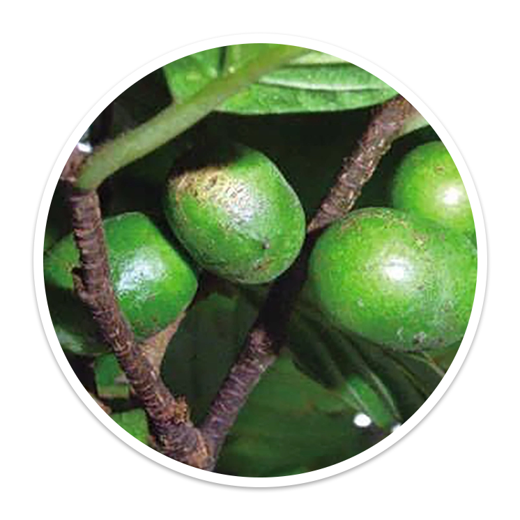 Eternum Prostate Health - Eternum Prostate Health